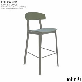 Kuchyňská židle Feluca Pop Barva kovové konstrukce: Dove grey fine textured 7006F, Barva sedáku a opěradla z recyklovaného plastu: Reed green IR6013
