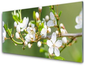 Obraz na skle Květiny Větve Listy Sad 100x50 cm