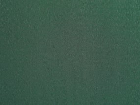 Paraván 5 dílný 270 x 170 cm zelený NARNI Beliani