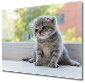 Skleněná krájecí deska Malá kočka u okna 60x52 cm