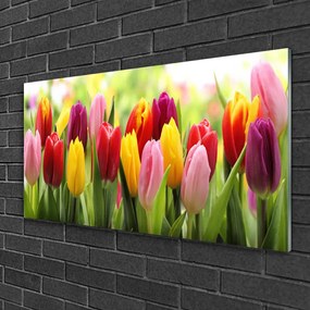 Obraz na skle Tulipány Květiny Příroda 120x60 cm