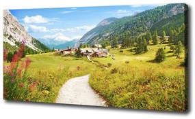 Wallmuralia Foto obraz na plátně Pastvina v Alpách 100x50