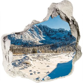 Wallmuralia Nálepka fototapeta 3D výhled Dům v horách 75x75 cm