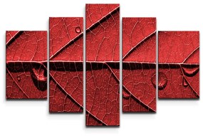 Sablio Obraz - 5-dílný Červený list - 125x90 cm