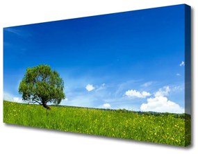 Obraz na plátně Tráva Strom Příroda 100x50 cm