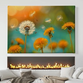 Obraz na plátně - Pampeliška, bílé nadělení FeelHappy.cz Velikost obrazu: 40 x 30 cm