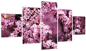 Obraz - Růžová sakura (125x70 cm)