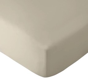 Béžové napínací prostěradlo 90x190 cm So Soft Easy Iron – Catherine Lansfield