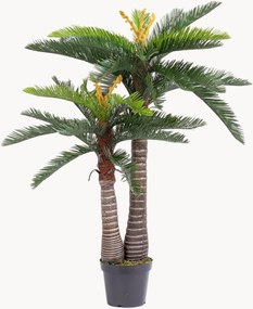 Exteriérová umělá rostlina Cycas