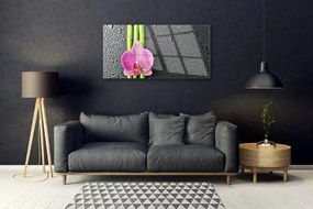 Obraz na skle Bambus Květ Rostlina Příroda 125x50 cm