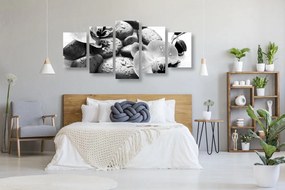 5-dílný obraz krásná souhra kamenů a orchideje v černobílém provedení - 100x50 cm