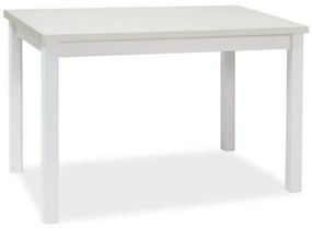 Jídelní stůl ADAM | 120 x 68 cm Barva: bílý mat
