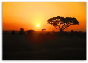 Gario Obraz na plátně Africký západ slunce Rozměry: 60 x 40 cm