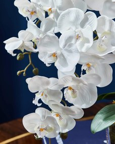 Côte Noire Orchid Bouquet kytice parfémovaných orchidejí Ivory White