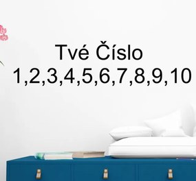 Samolepka s vlastním číslem (Arial)