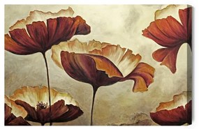 Obraz Krásné Mák Květiny Vintage Nedostatek Nedostatek Plátno Canvas 30x20