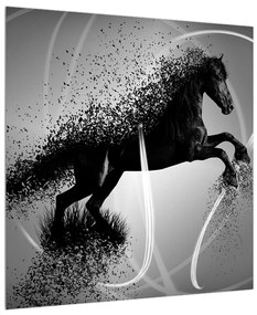 Moderní obraz koně (50x50 cm)