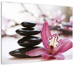 Skleněný obraz masážních kamenů a orchidee (70x50 cm)