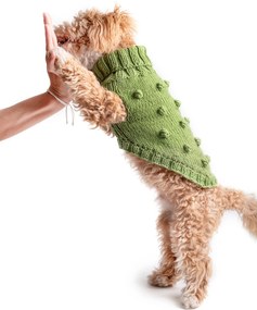 Pet Amour London svetr pro psy a kočky zelený Velikost: 24