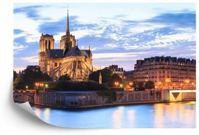 Fototapeta Paříž – Notre-Dame Hladký vinyl 104x70.5