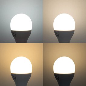 Sada 5 chytrých stmívatelných LED žárovek E14 G45 Opal 4,9W 470 lm 2700-6500K