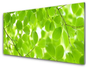 Obraz na skle Listy Příroda 100x50 cm
