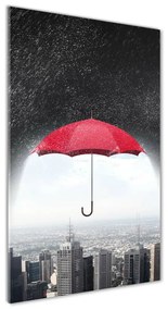 Wallmuralia Vertikální Fotoobraz na skle Deštník nad městem 50x100