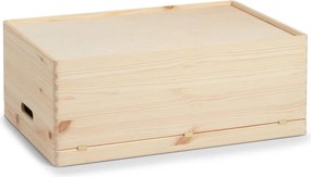 Skladovací kontejner s víkem, organizátor 58 l, ZELLER