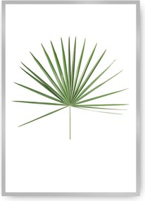 Plakát Tropical Leaf Green