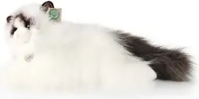 RAPPA Plyšová kočka ragdoll 38 cm / ECO-FRIENDLY / od 0 měsíců