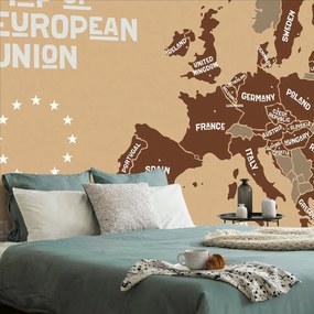 Tapeta hnědá mapa s názvy zemí EU - 375x250 cm