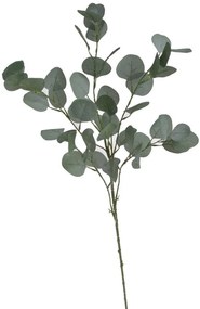 eukalyptus 90 cm - zelená tmavší