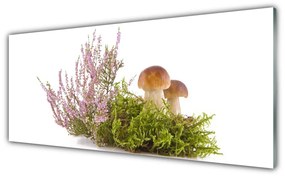 akrylový obraz Houby Rostlina Příroda 125x50 cm