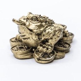 Milujeme Kameny Třínohá žába na mincích - soška Feng shui - malá - VADA VAD155