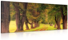 Obraz chodník podzimním lesem - 100x50 cm