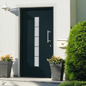 Vchodové dveře hliník a PVC antracitové 100 x 210 cm,  3056813
