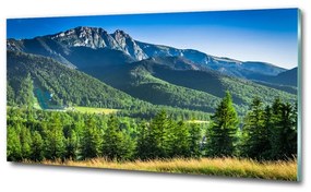 Wallmuralia Foto-obraz fotografie na skle Skokanský můstek Tatry 100x50