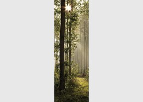 Vliesová fototapeta na zed' Prosluněný Les | 90 x 270 cm | DFTNVL3712