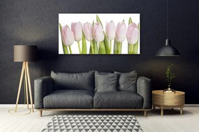 akrylový obraz Tulipány Květiny Rostlina 120x60 cm