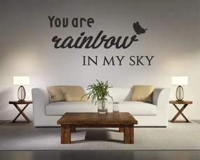 Samolepka na zeď YOU ARE RAINBOW IN MY SKY 60 x 120 cm