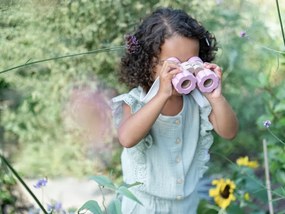 Little Dutch Dalekohled Fairy Garden