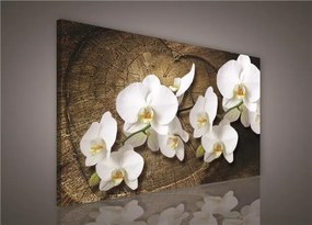 Obraz na plátně bílá orchidej na dřevěném srdci 100 x 75 cm