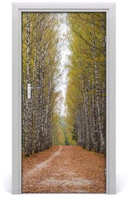 Fototapeta na dveře samolepící břízový les 85x205 cm