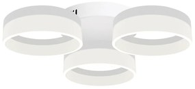 LED Stropní svítidlo RING 3xLED/12W/230V bílé