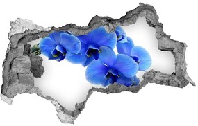 Wallmuralia Samolepící díra nálepka Modrá orchidej 95x73 cm