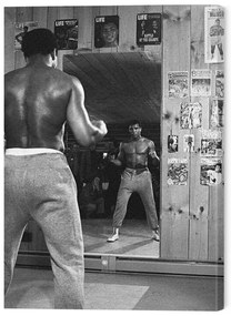 Obraz na plátně Muhammad Ali - Mirror