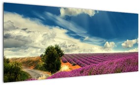 Levandulové pole - obraz (100x40cm)