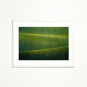 Vojta Herout | Moravian Manchester Rám: Černý, Velikost: 40 x 60 cm