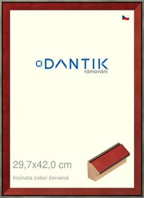 DANTIK rámeček 29,7x42 | INCLINATA colori červená (Plexi Čiré)