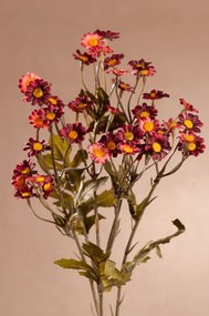 Paramit DRY MINI DAISY Aranžovací květina červená 61 cm